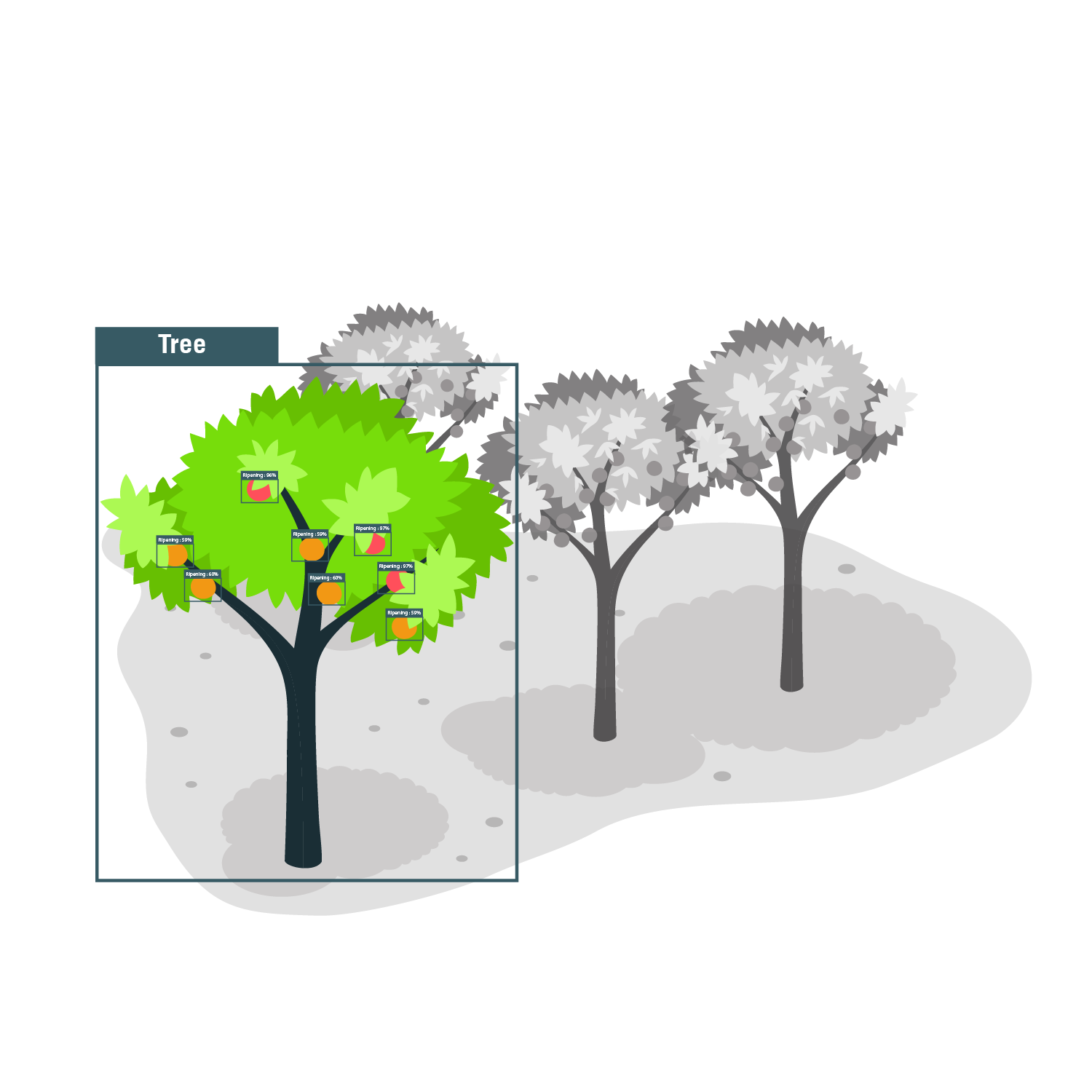 Ai Solution | Total Ai Solutions